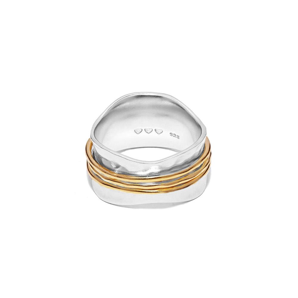 Saturn Spinner Ring – Annie Haak