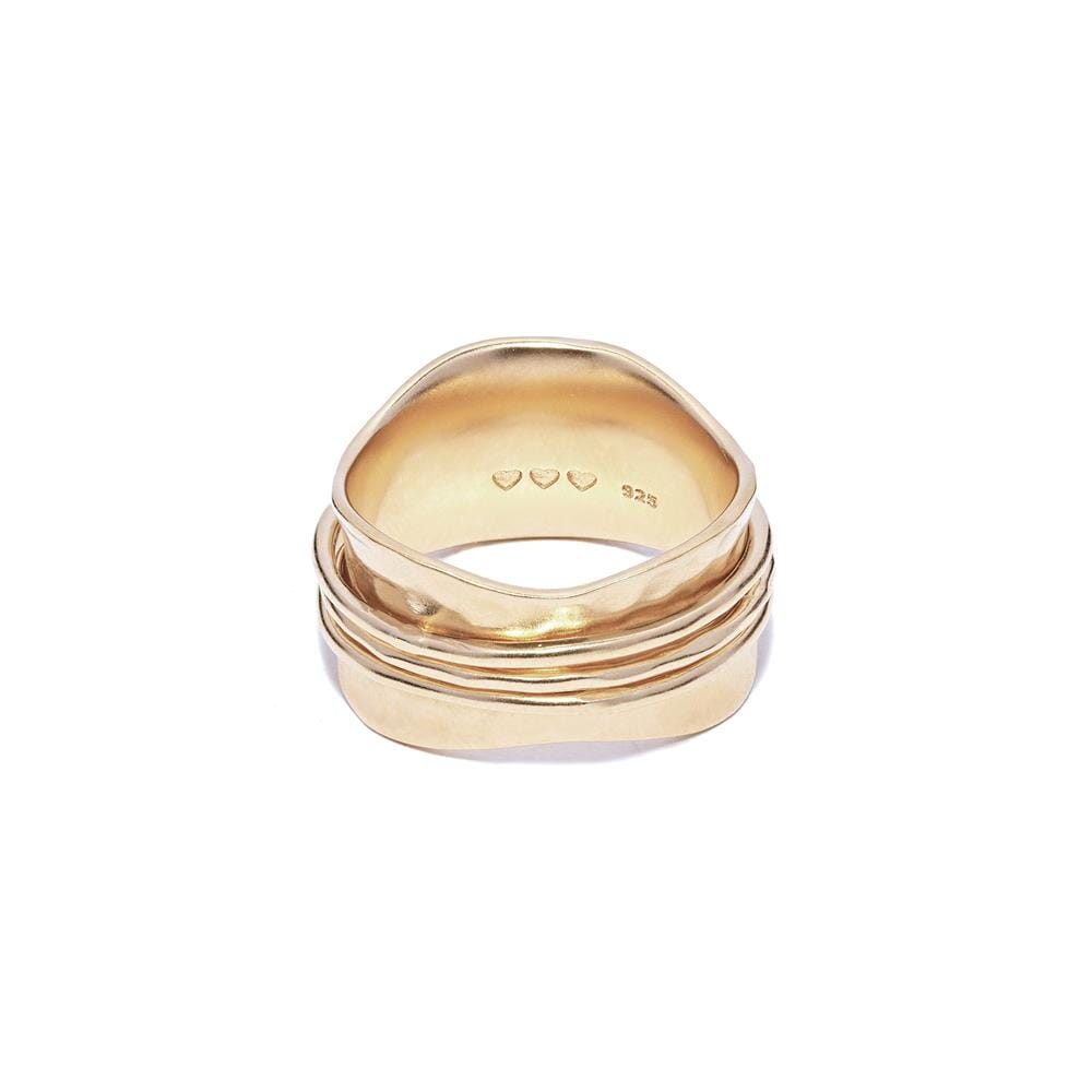 Gold Ring with two spinning ring bands - Annie Haak