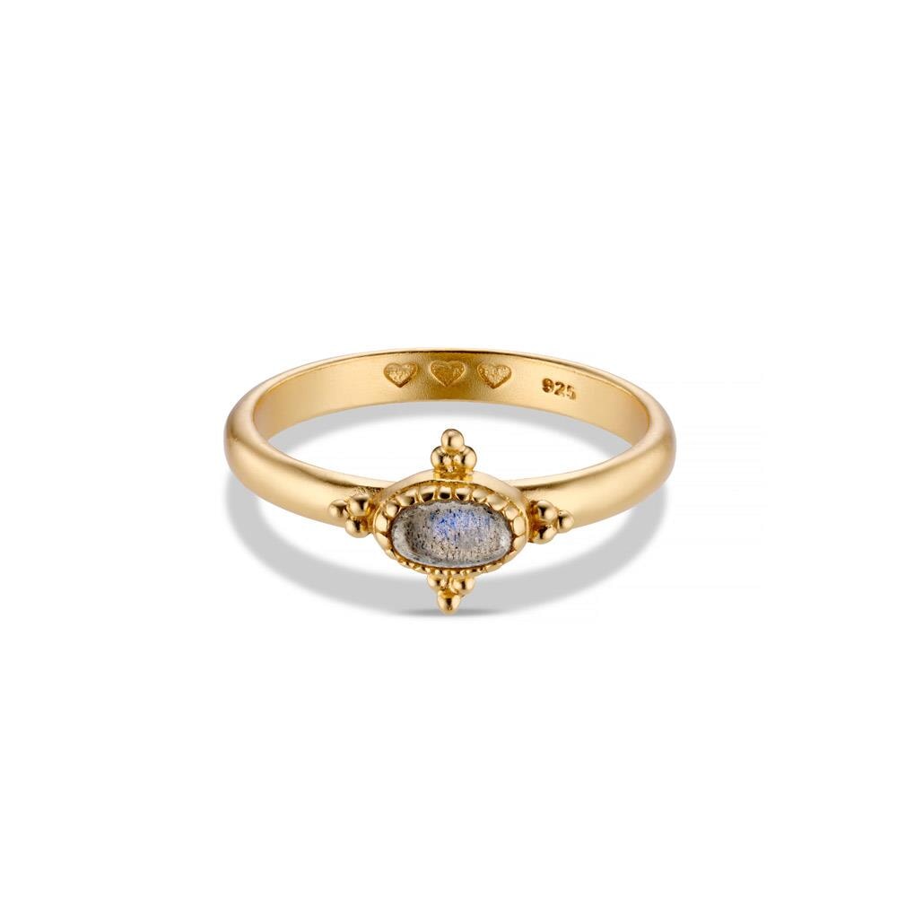 Labradorite Gold Plated Ring – Annie Haak