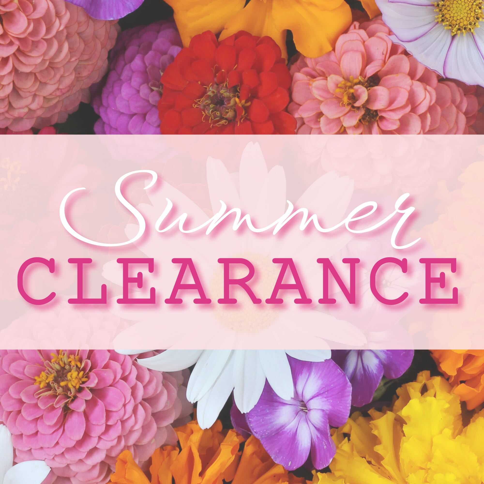 Celebrate the arrival of Summer with our Summer Clearance!